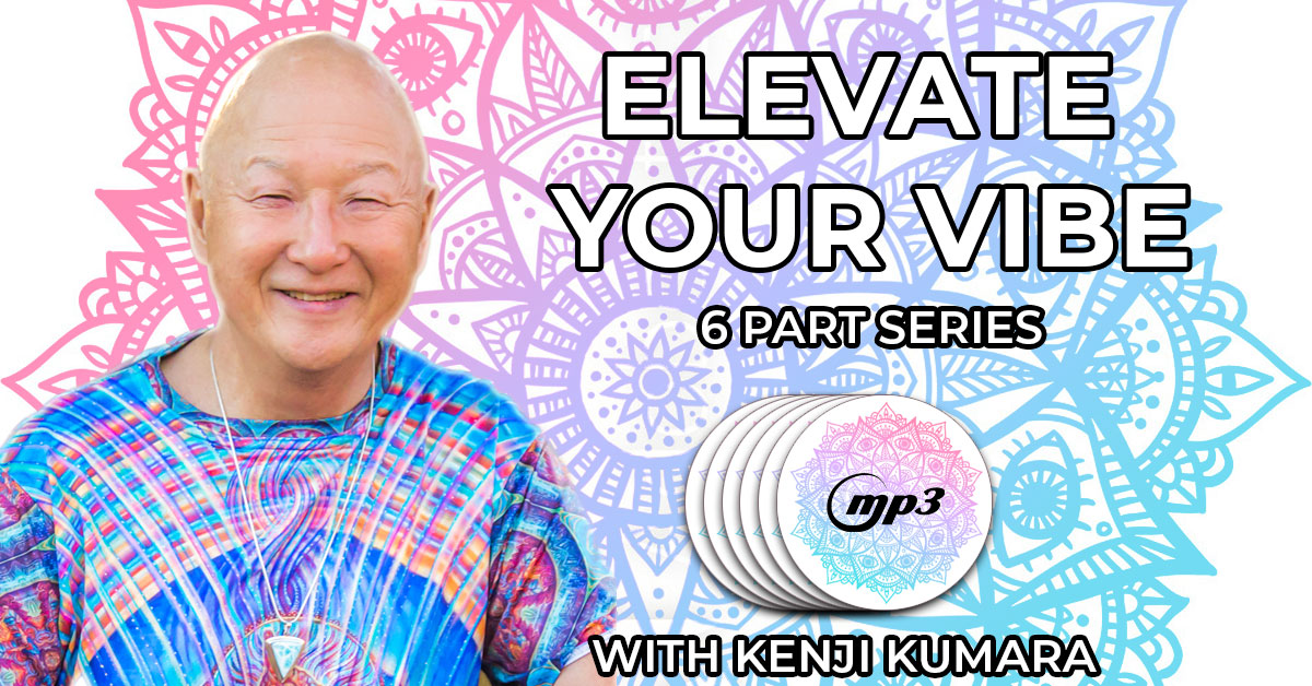 Elevate Your Vibe with Kenji